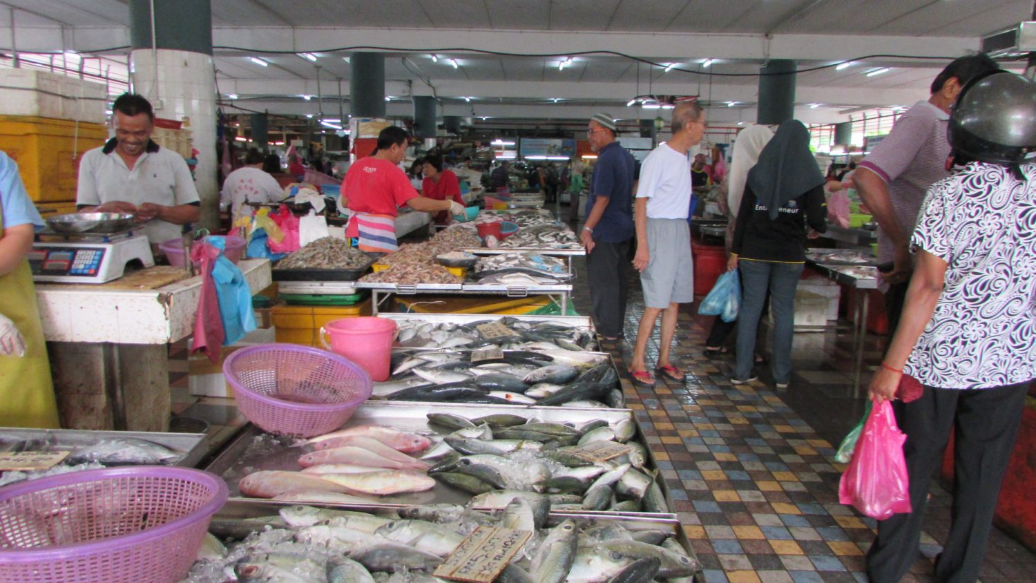 Aktiviti haram ancam pembiakan ikan di perairan negara : CAP ...