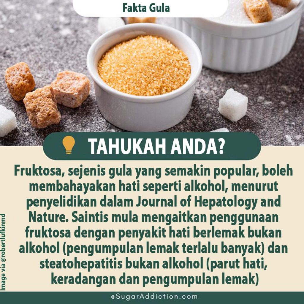 FRUKTOSA BOLEH MEMUDARATKAN HATI, SAMA SEPERTI ALKOHOL – Persatuan ...