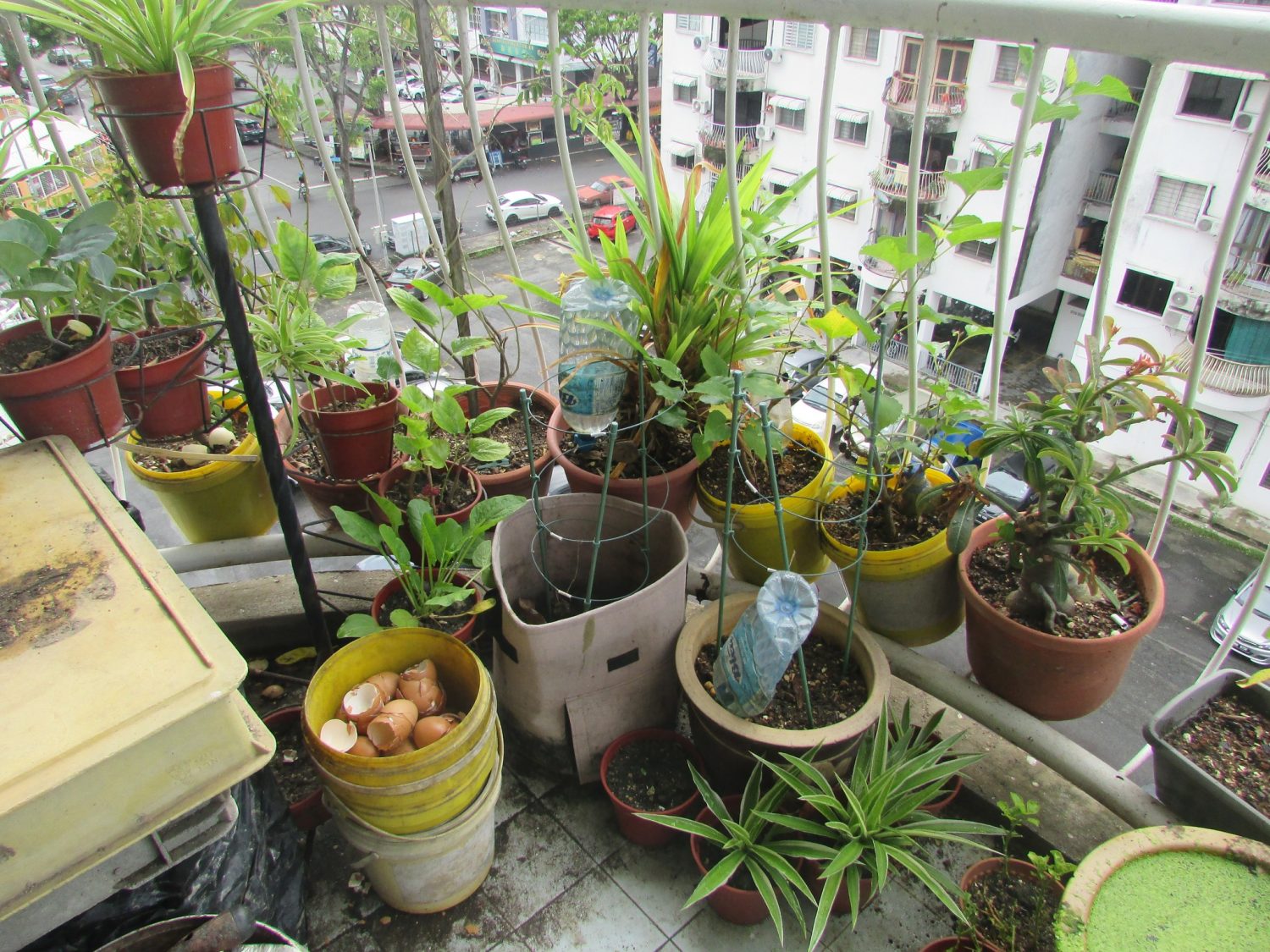 “AGROEKOLOGI UNTUK SEMUA: Inisiatif di Malaysia” – KEBUN BANDAR ...