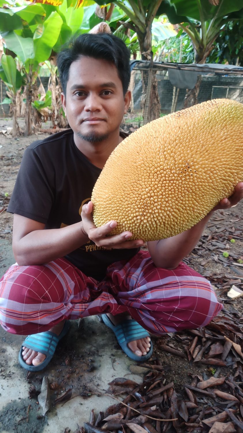“AGROECOLOGY FOR ALL: Initiatives in Malaysia” – COMMUNITY WORK ...