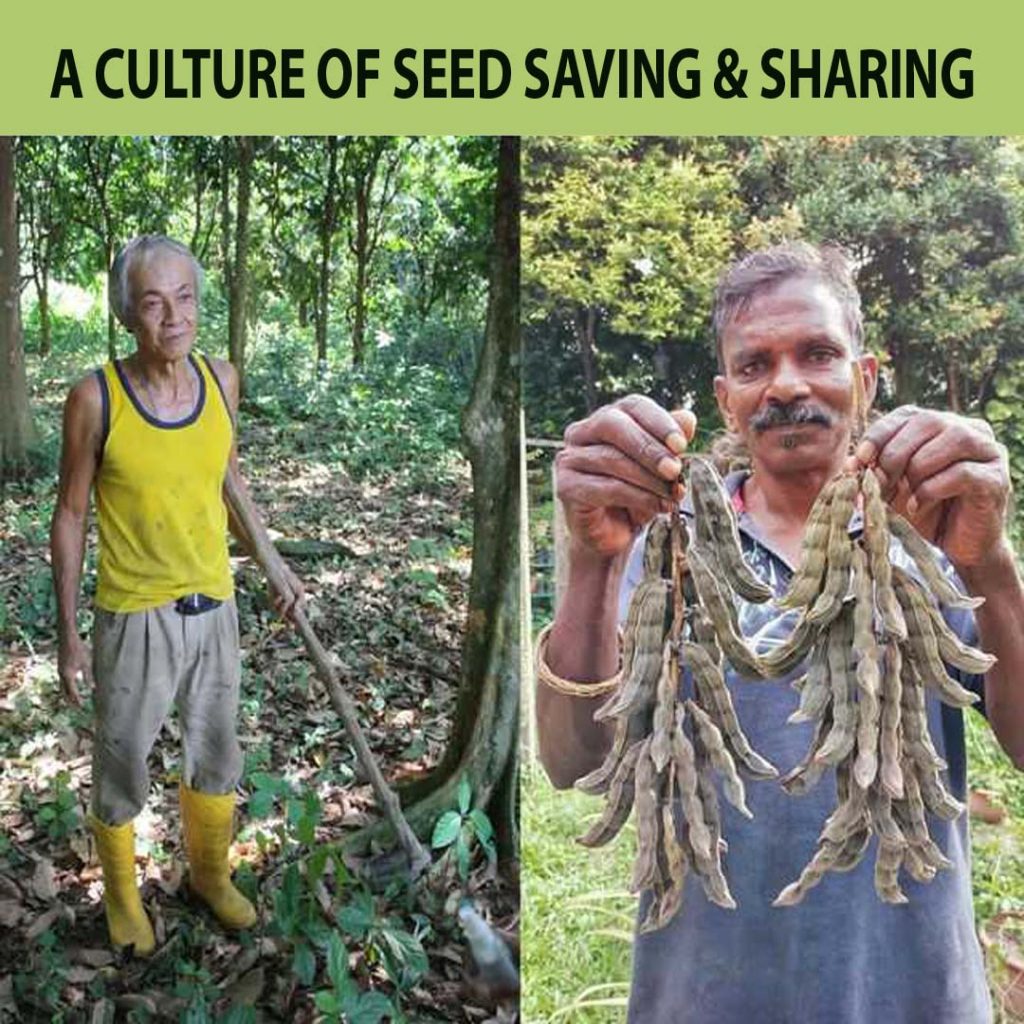 A CULTURE OF SEED SAVING & SHARING – Consumers Association Penang