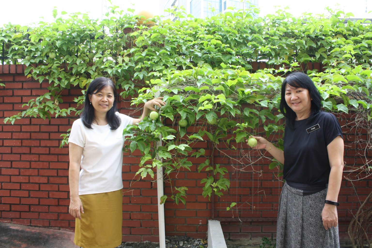 “AGROECOLOGY FOR ALL: Initiatives in Malaysia” – EDUCATIONAL ...