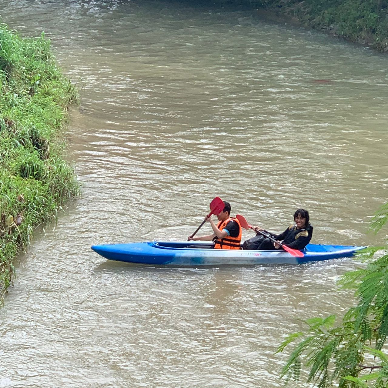 “AGROEKOLOGI UNTUK SEMUA: Inisiatif di Malaysia” – KEBUN KOMUNITI ...