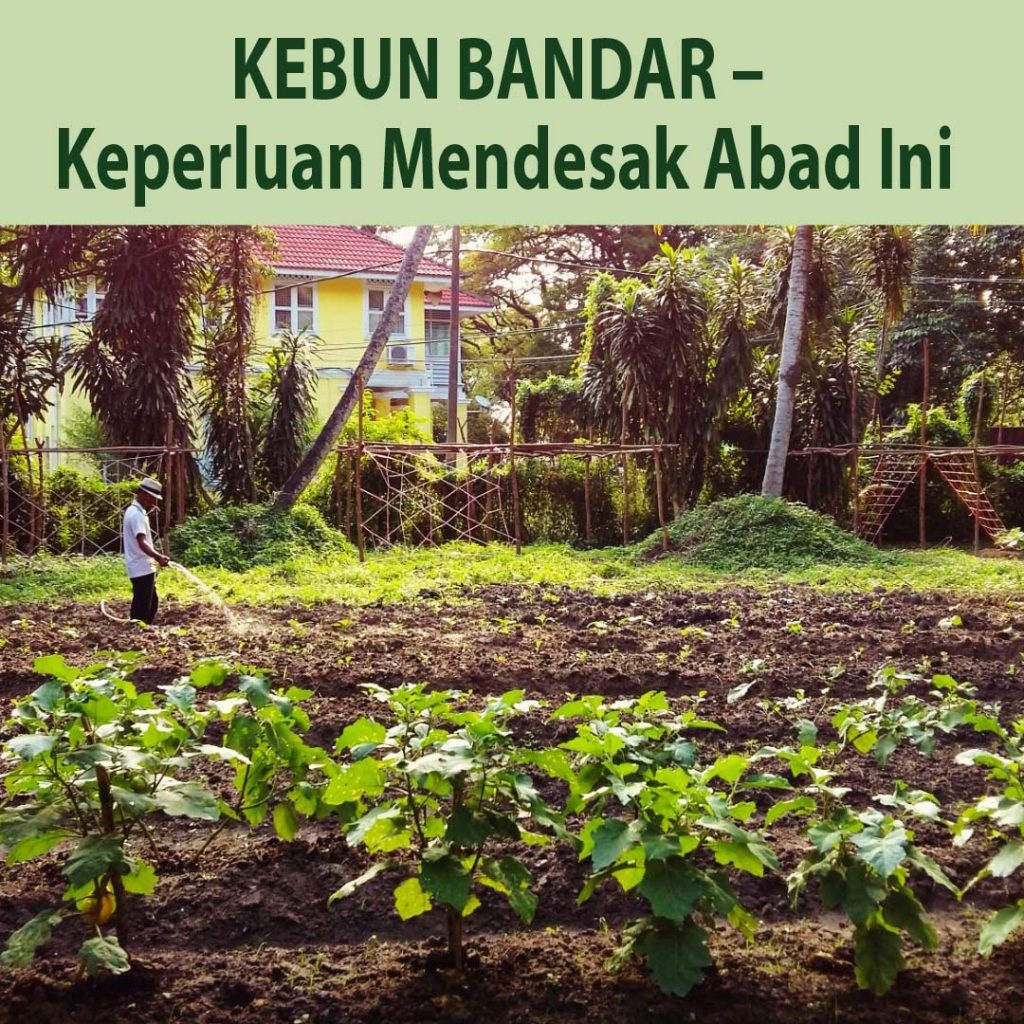 KEBUN BANDAR – Keperluan Mendesak Abad Ini – Persatuan Pengguna Penang