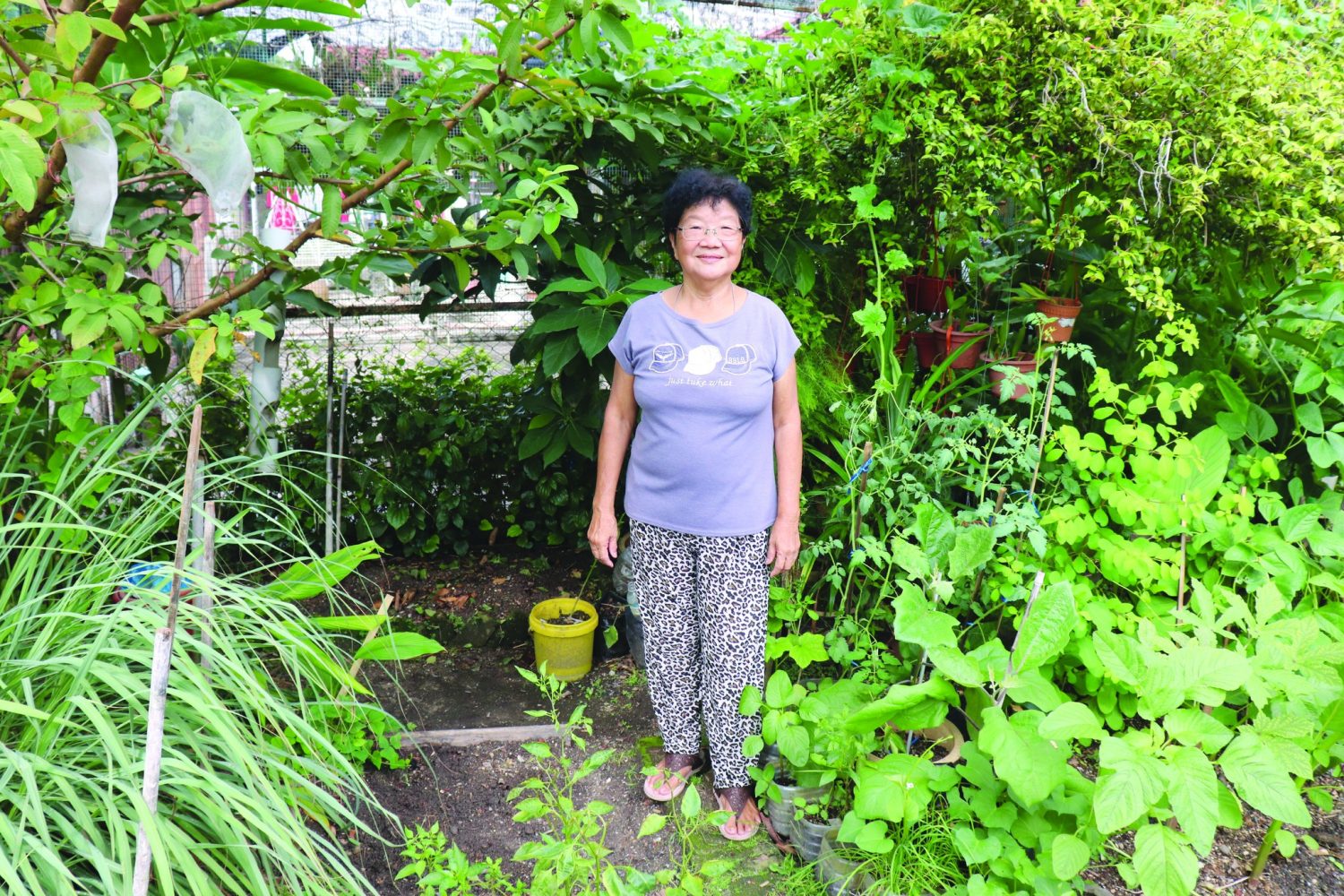 “AGROEKOLOGI UNTUK SEMUA: Inisiatif di Malaysia” – KEBUN BANDAR ...