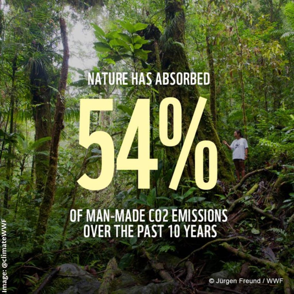 NATURE IS OUR SECRET ALLY – Consumers Association Penang