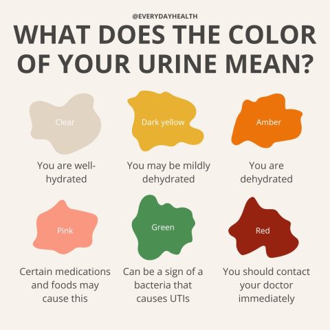 WHAT YOUR URINE COLOUR SAYS ABOUT YOUR HEALTH – Consumers Association ...