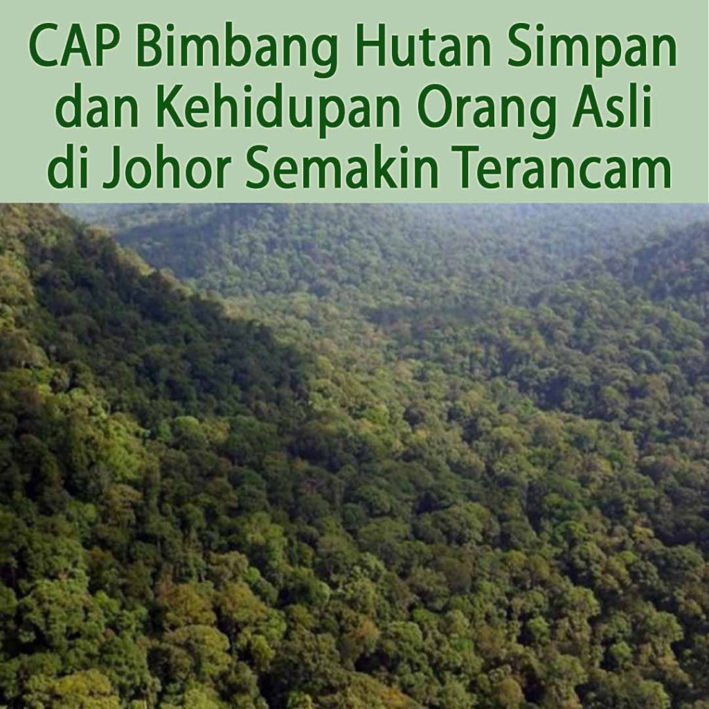 CAP Bimbang Hutan Simpan dan Kehidupan Orang Asli di Johor Semakin ...