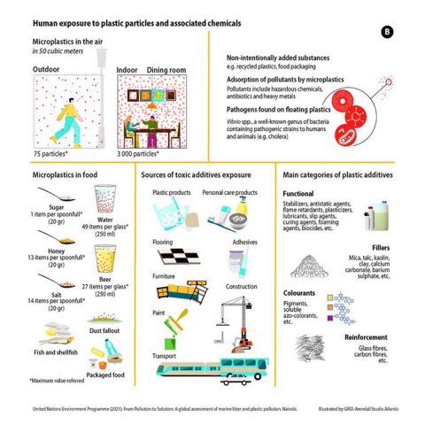 MICROPLASTICS ARE IN OUR FOOD TOO – Consumers Association Penang