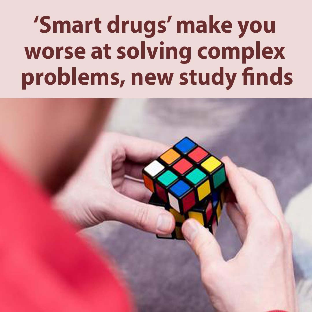 ‘Smart drugs’ make you worse at solving complex problems, new study ...