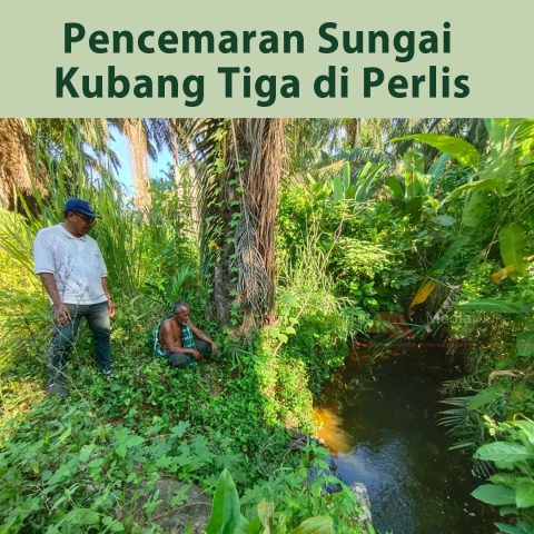 Pencemaran Sungai Kubang Tiga di Perlis – Persatuan Pengguna Penang