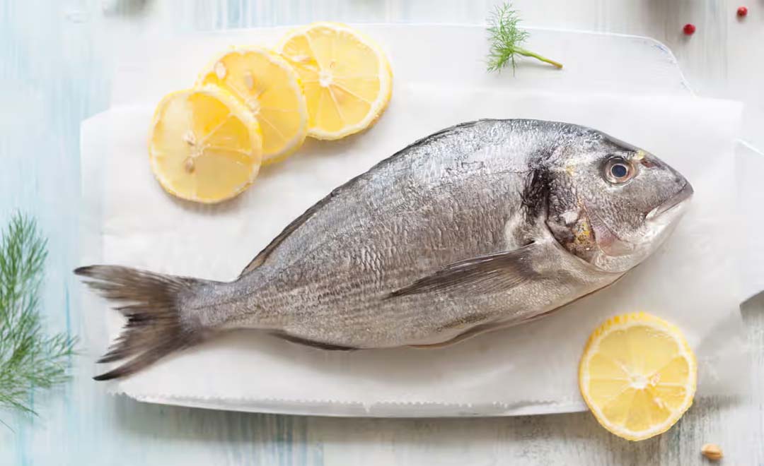 Ultra-Processed Foods: What Everyone Needs to Know – Consumers ...