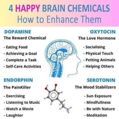 TURN ON YOUR HAPPY BRAIN CHEMICALS – Consumers Association Penang