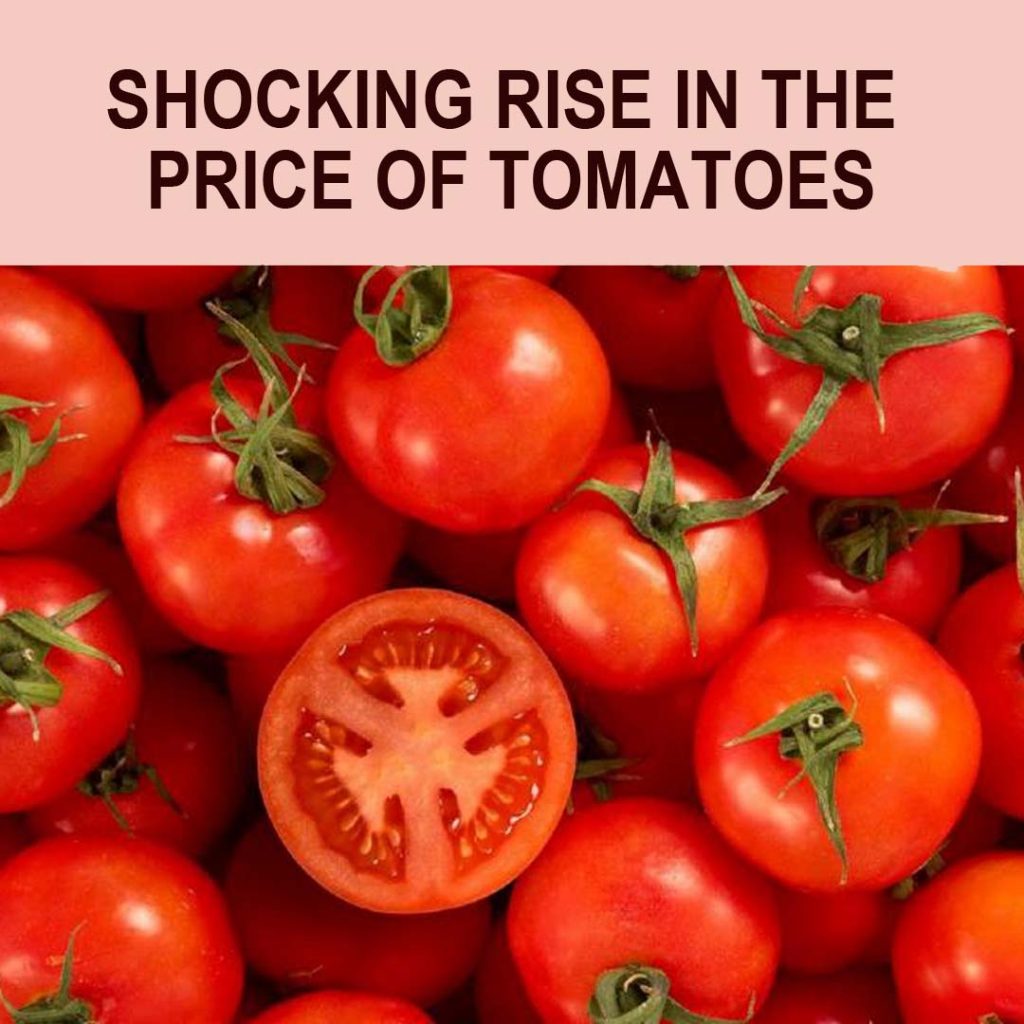 SHOCKING RISE IN THE PRICE OF TOMATOES – Consumers Association Penang