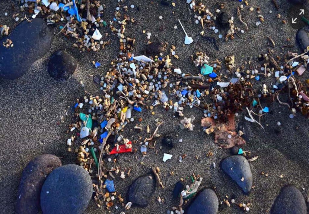 Microplastics found in every human placenta tested in study – Consumers ...