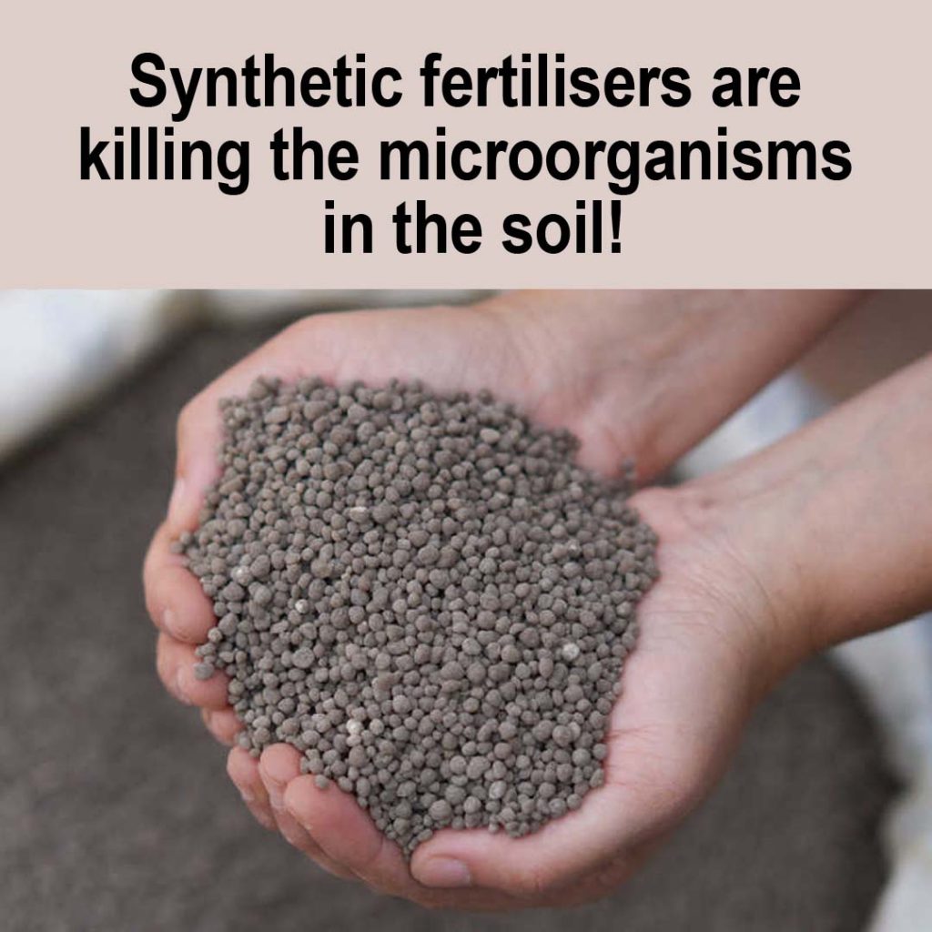 Synthetic fertilisers are killing the microorganisms in the soil ...