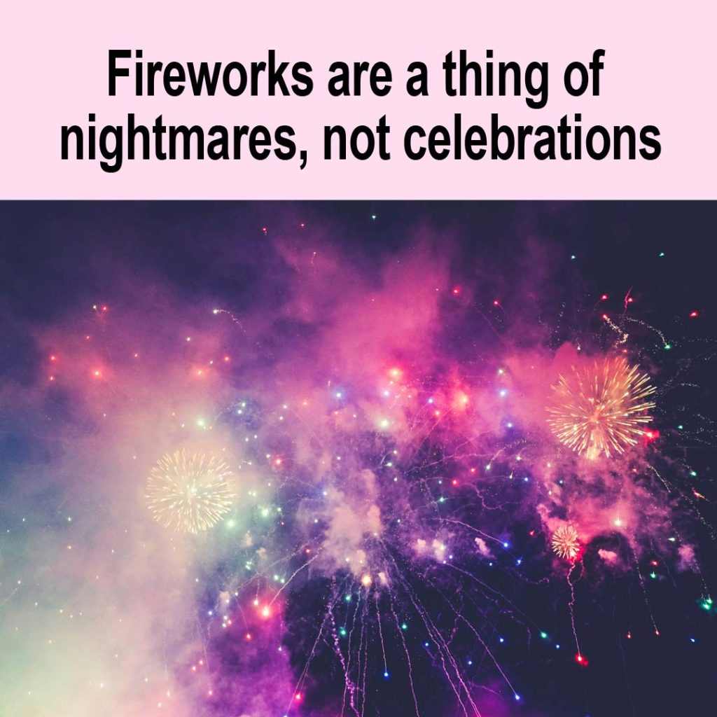 Fireworks are a thing of nightmares, not celebrations – Consumers ...