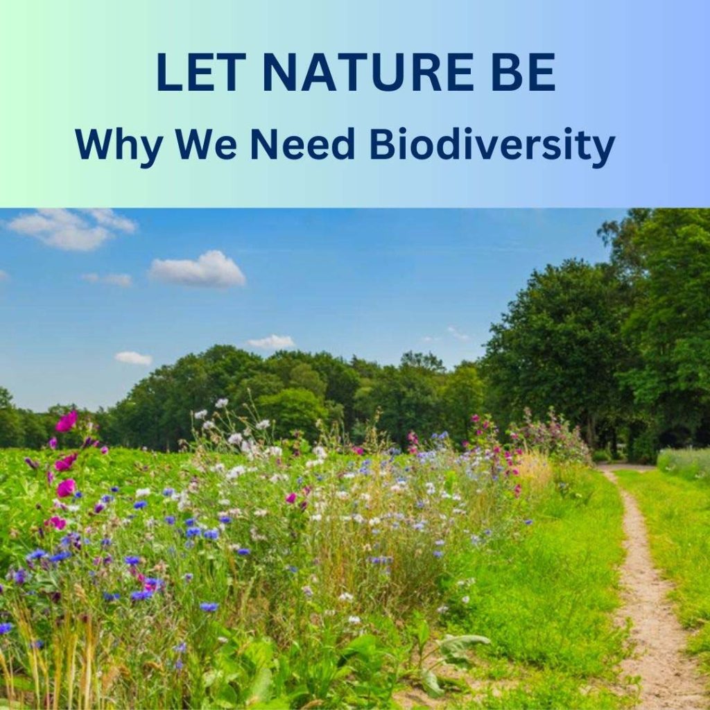 6 Reasons Why We Need Biodiversity – Consumers Association Penang