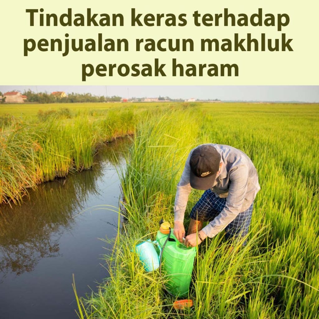Tindakan keras terhadap penjualan racun makhluk perosak haram ...