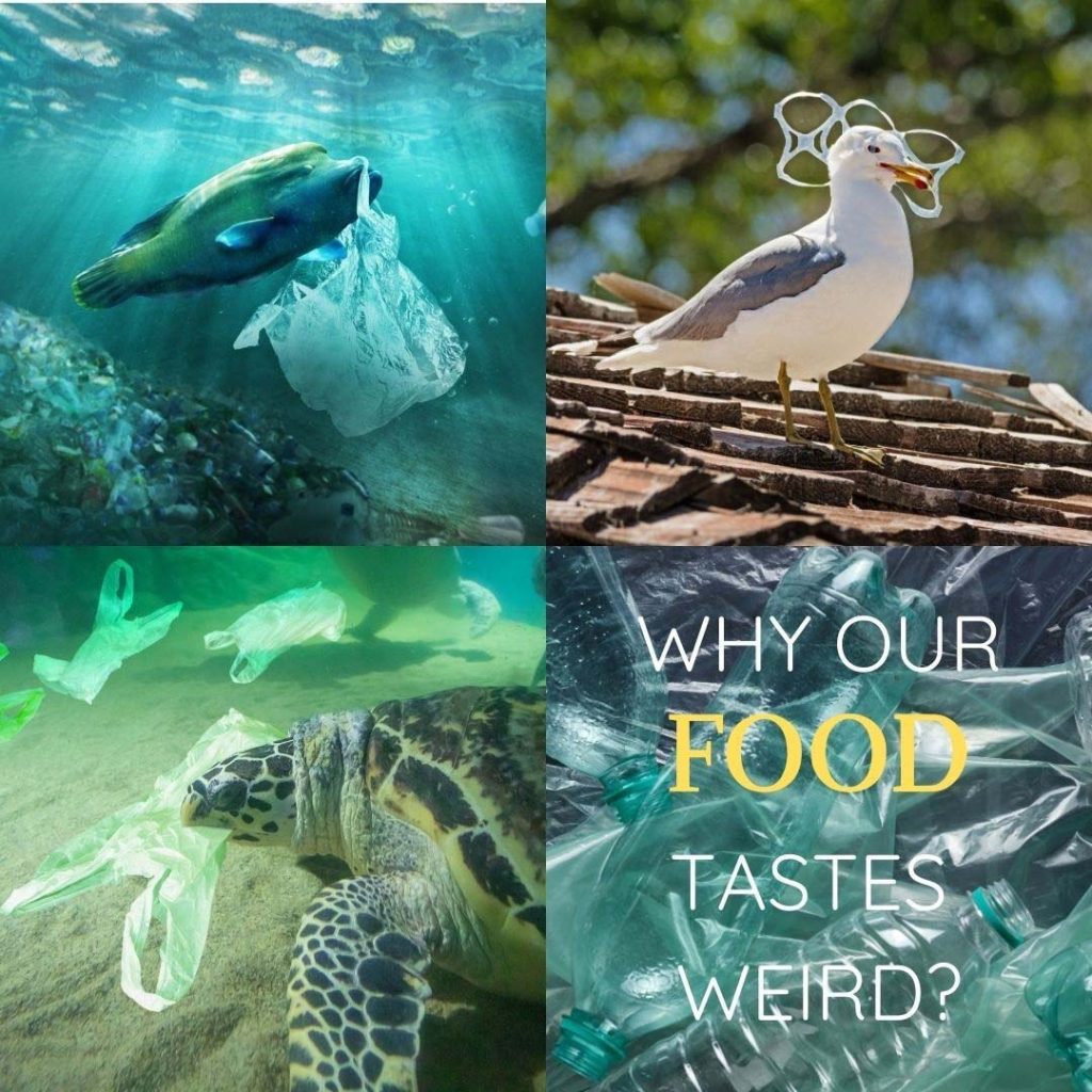 PERSISTENT PLASTIC POLLUTION – Consumers Association Penang