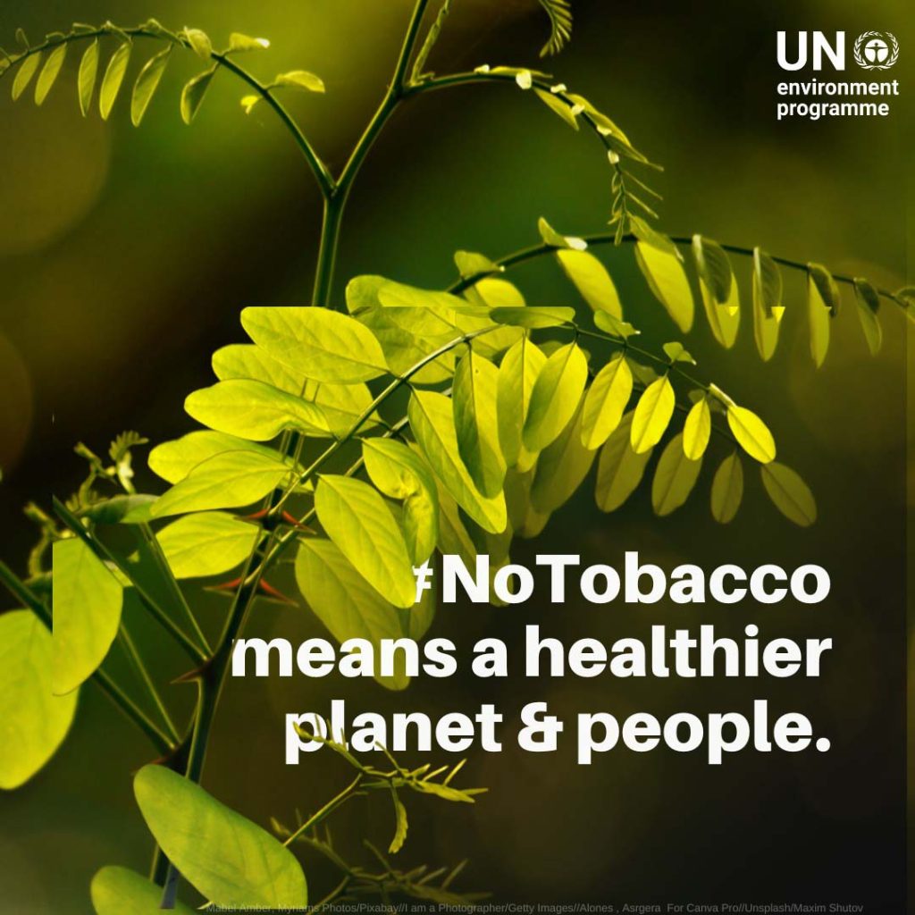 TOBACCO IS POISONING OUR PLANET – Consumers Association Penang