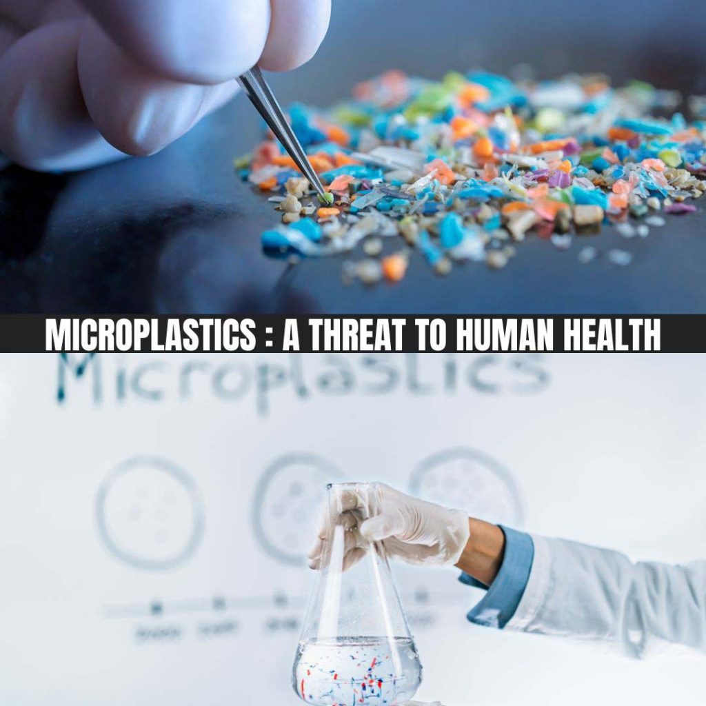 The Rising Threat of Microplastics to Human Health and Marine ...