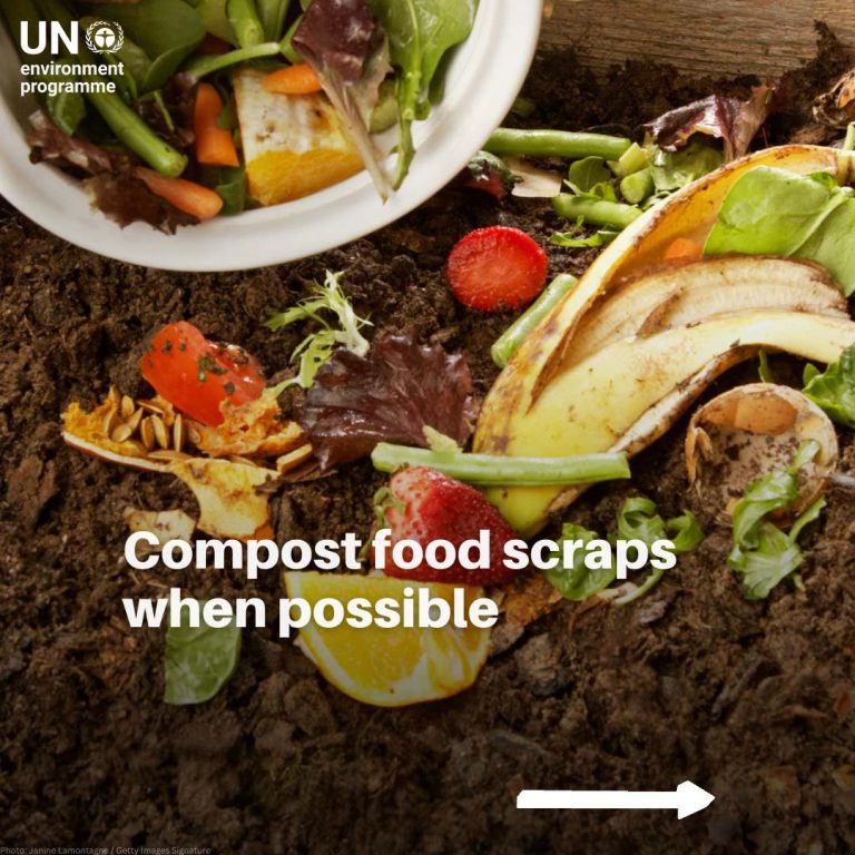 HOW TO REDUCE FOOD LOSS & WASTE – Consumers Association Penang