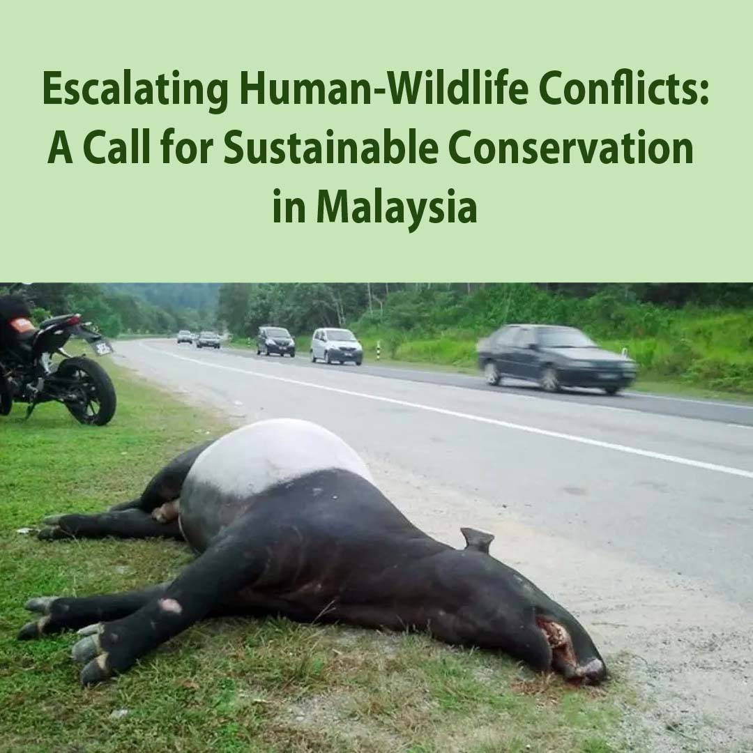 Escalating Human-Wildlife Conflicts: A Call for Sustainable ...