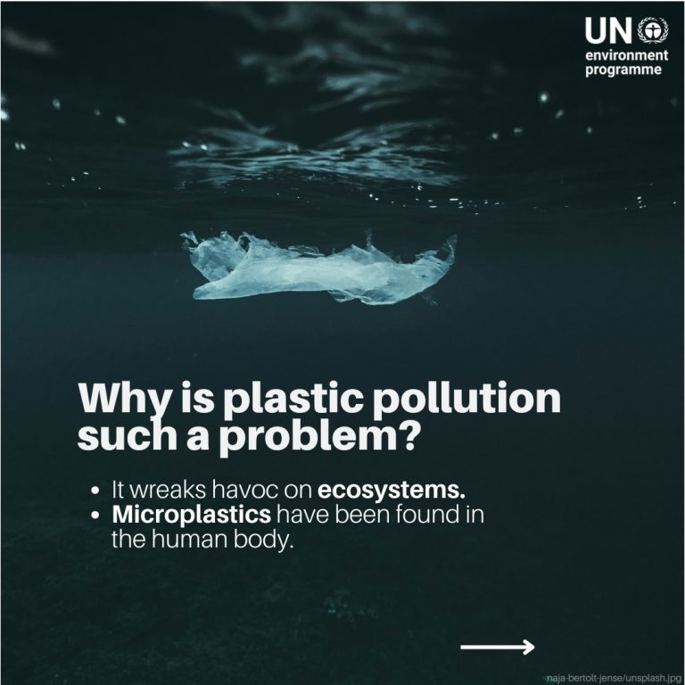 EVERYTHING YOU NEED TO KNOW ABOUT PLASTIC POLLUTION – Consumers ...