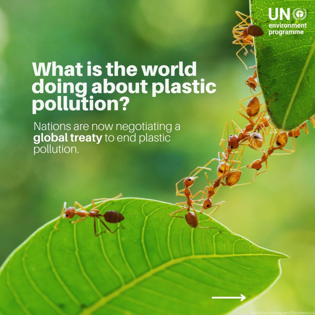 EVERYTHING YOU NEED TO KNOW ABOUT PLASTIC POLLUTION – Consumers ...