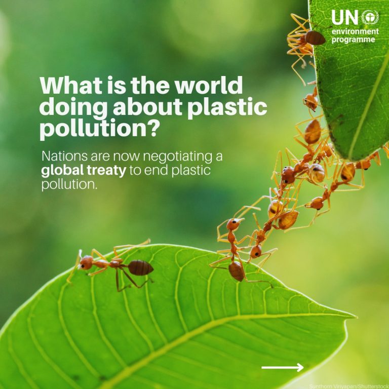 EVERYTHING YOU NEED TO KNOW ABOUT PLASTIC POLLUTION – Consumers ...